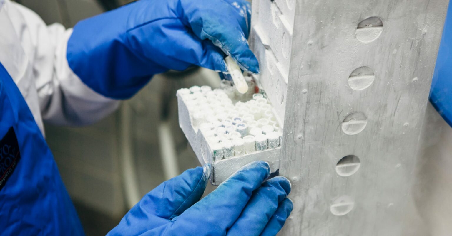 Our Process, Your Materials: Preparing Our Shippers for Usage ...