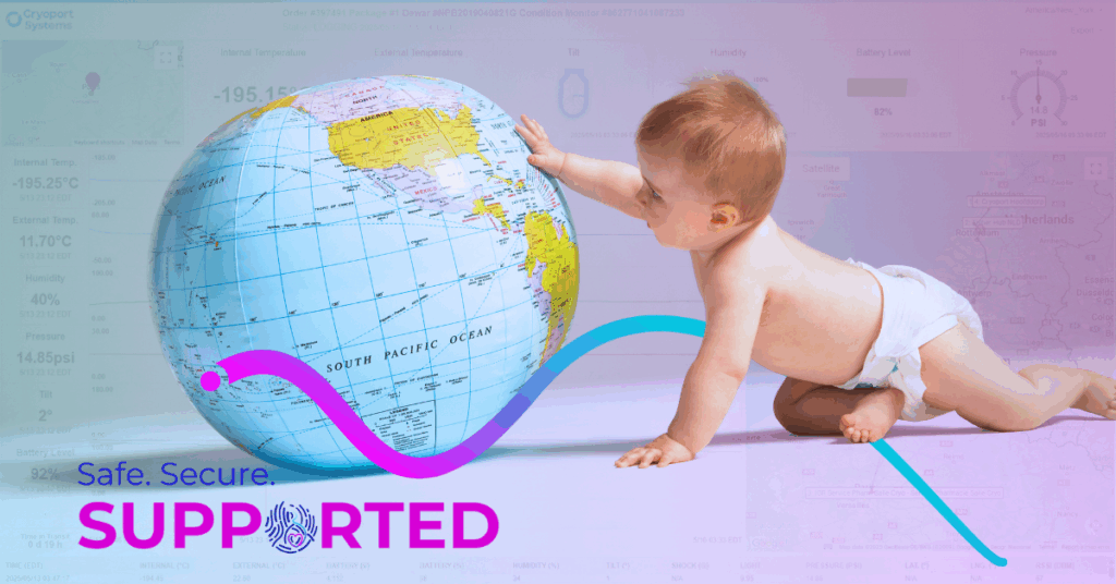 Reproductive Medicine Across Borders: How to Navigate International ...